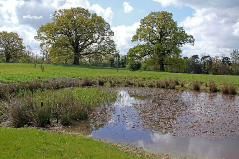 Weddings Gallery | West Lodge Park Hotel