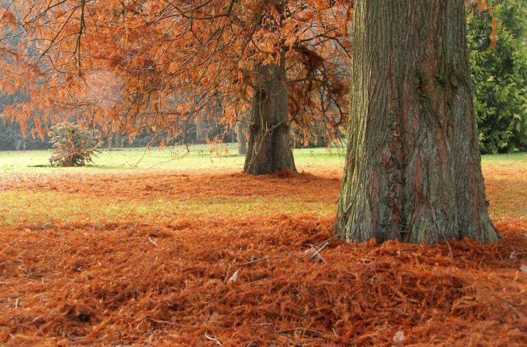 Weddings Gallery | West Lodge Park Hotel