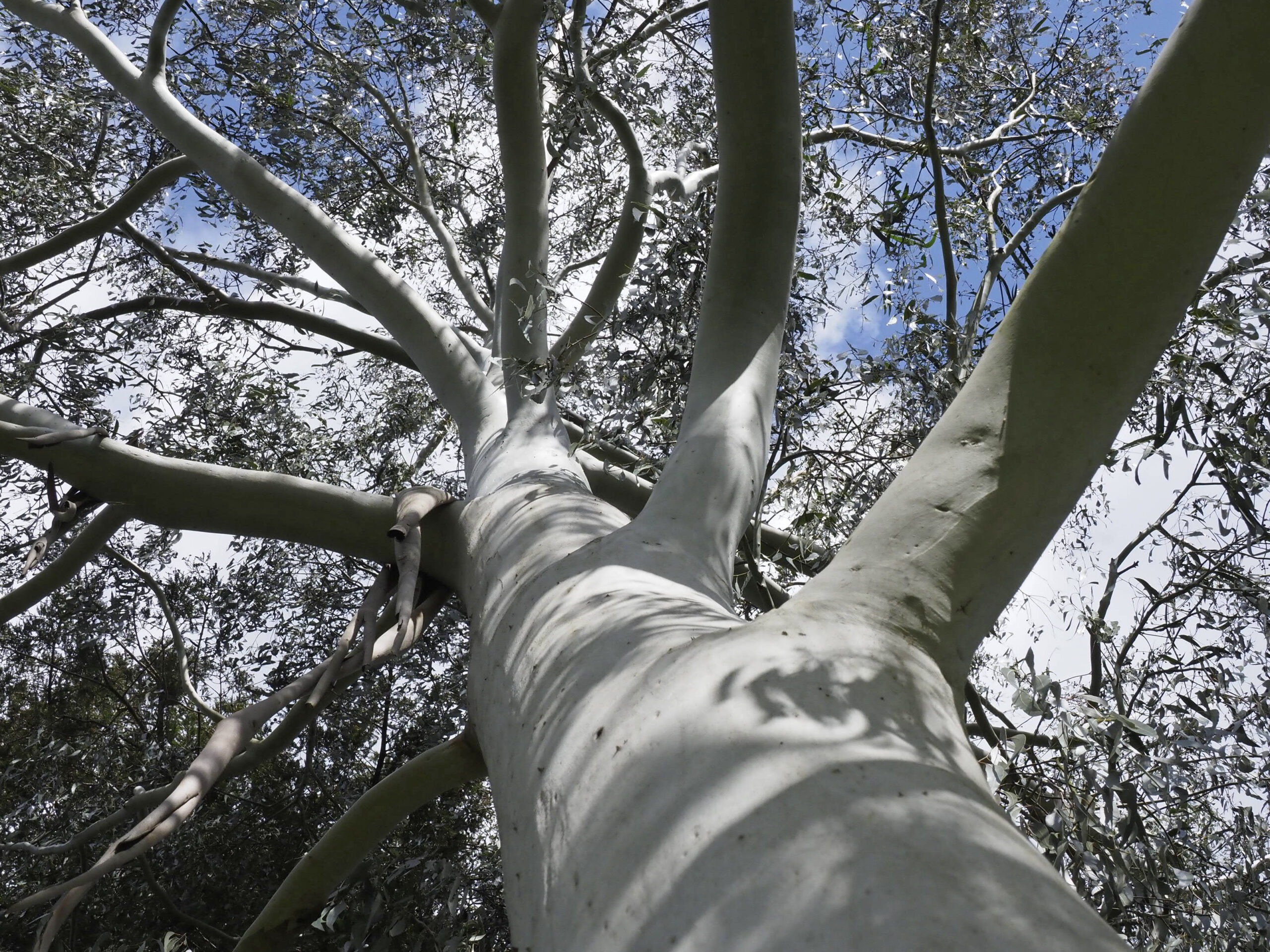 Gallery | West Lodge Park Hotel